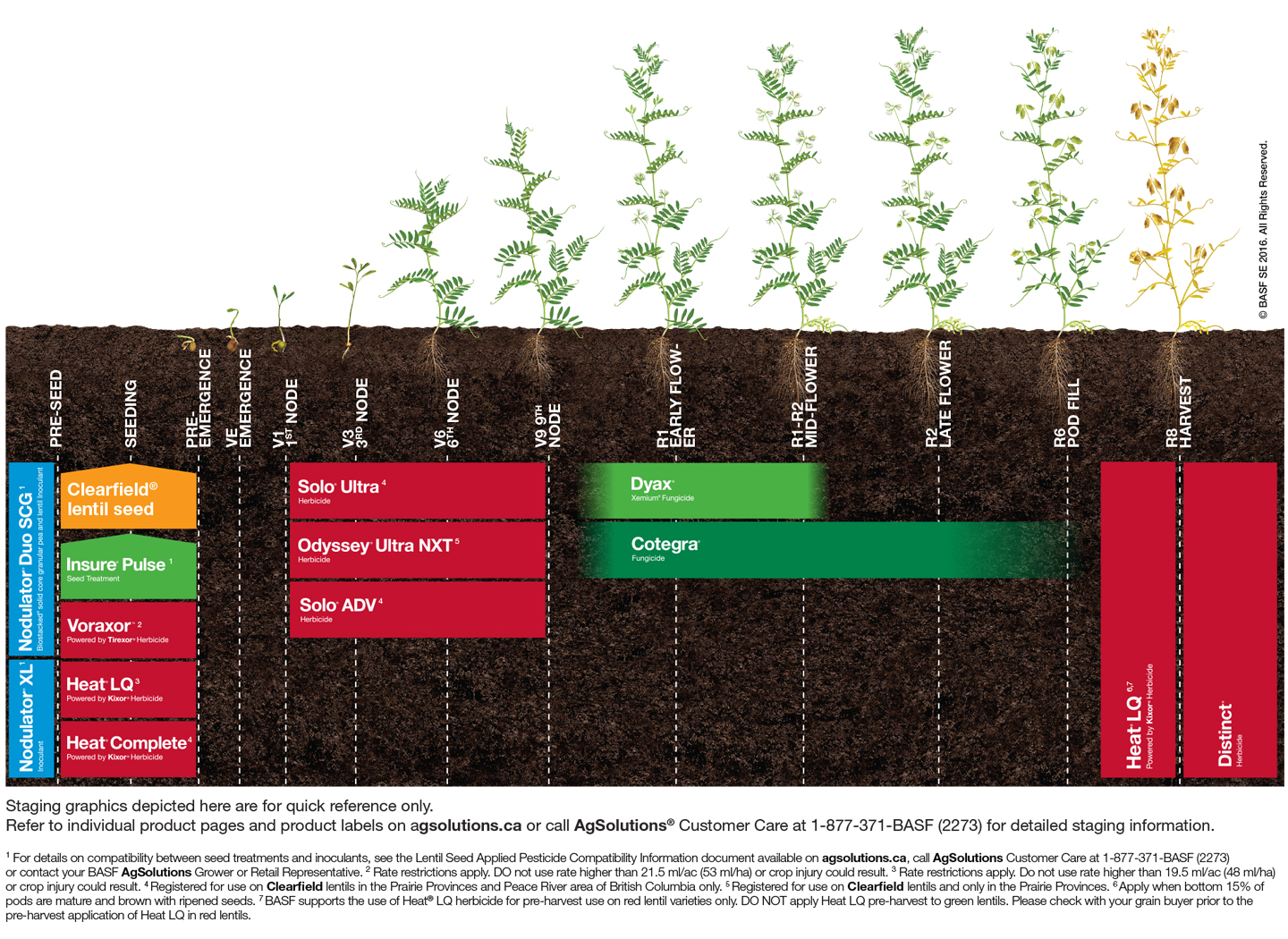 BASF | Crops - Lentils